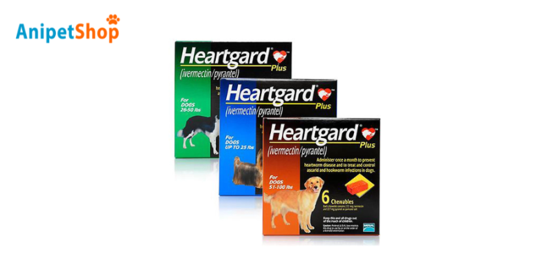 Nexgard vs Heartgard Comparison