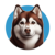 Special Offers Archives - Anipetshop