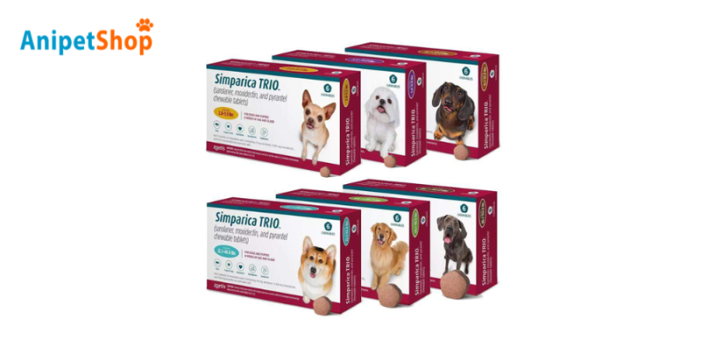 Best Heartworm Preventative Medicines for Dogs