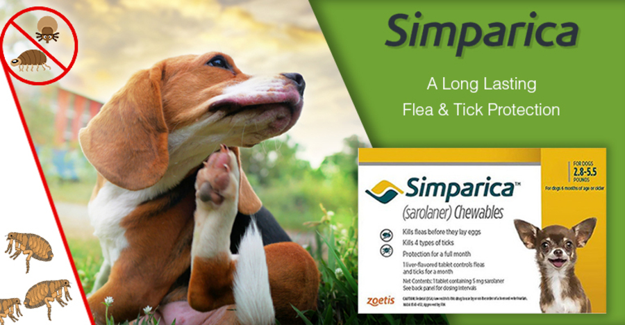 What is Simparica and How does Simparica work?