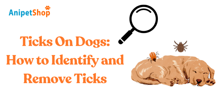 Ticks On Dogs: How to Identify and Remove Ticks
