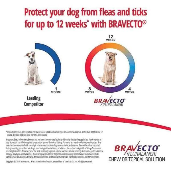 How quickly does Bravecto kill fleas and ticks?