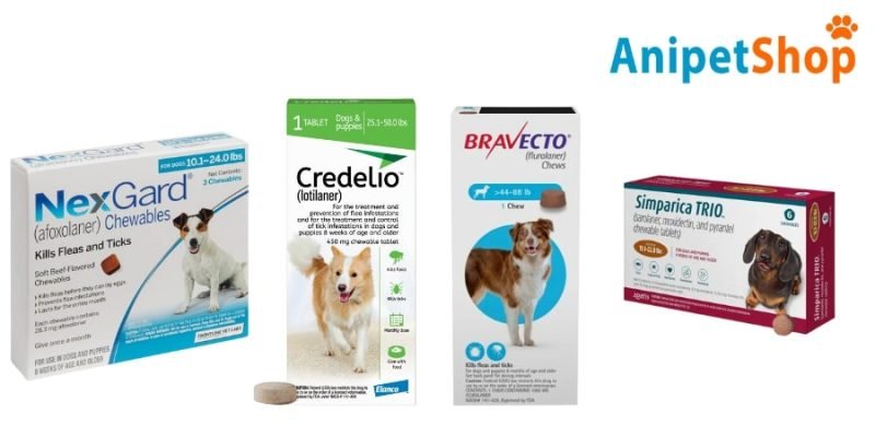 What Are the Best Options to Kill Ticks on Your Dog Quickly?