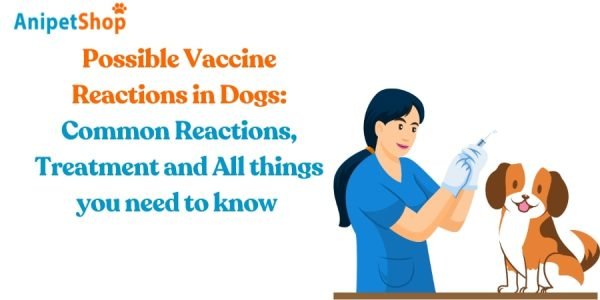 What To Know About Possible Vaccine Reactions in Dogs