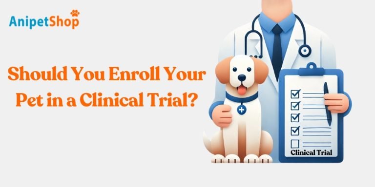 Should You Enroll Your Pet in a Clinical Trial?