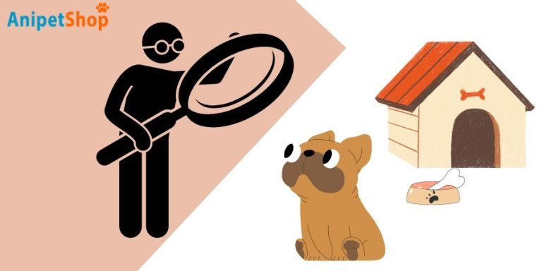 Flea Dirt on Dogs: What It Is and How to Get Rid of It